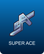 株式会社スーパーエース